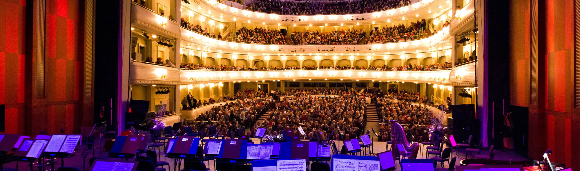 Section Second Violin